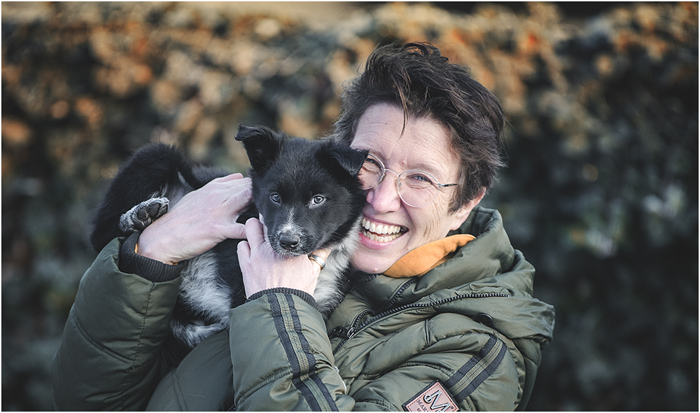 Luna Tale Border Collies